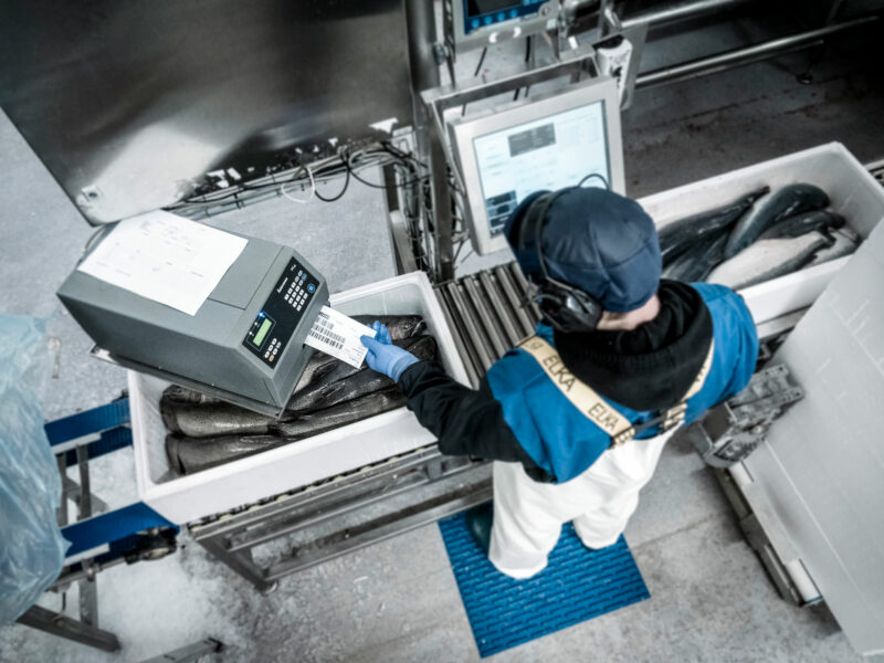 New leader in North America | Maritech