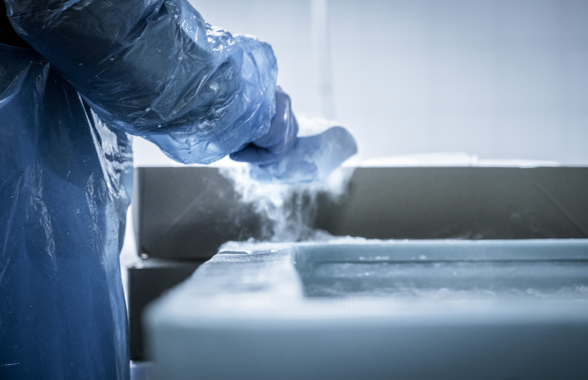 Launched Maritech Eye™ for white fish