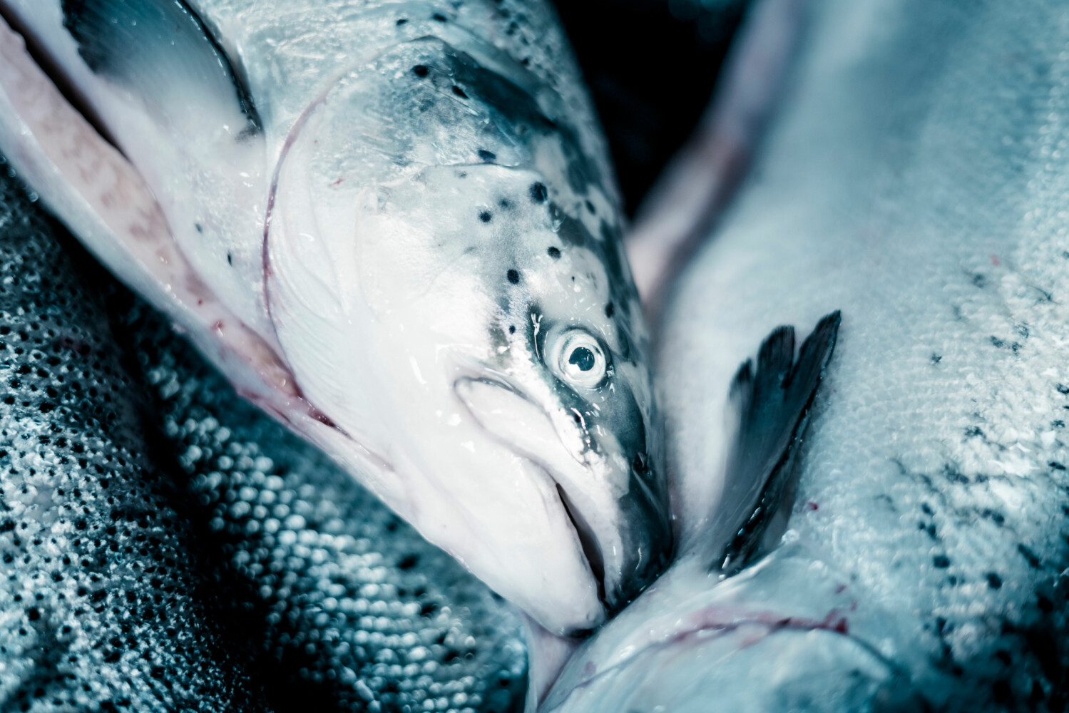 Share and collaborate with Maritech Document Service