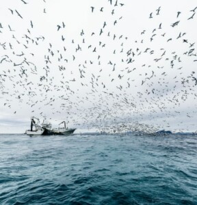 About us: Who we are and what we do I Maritech