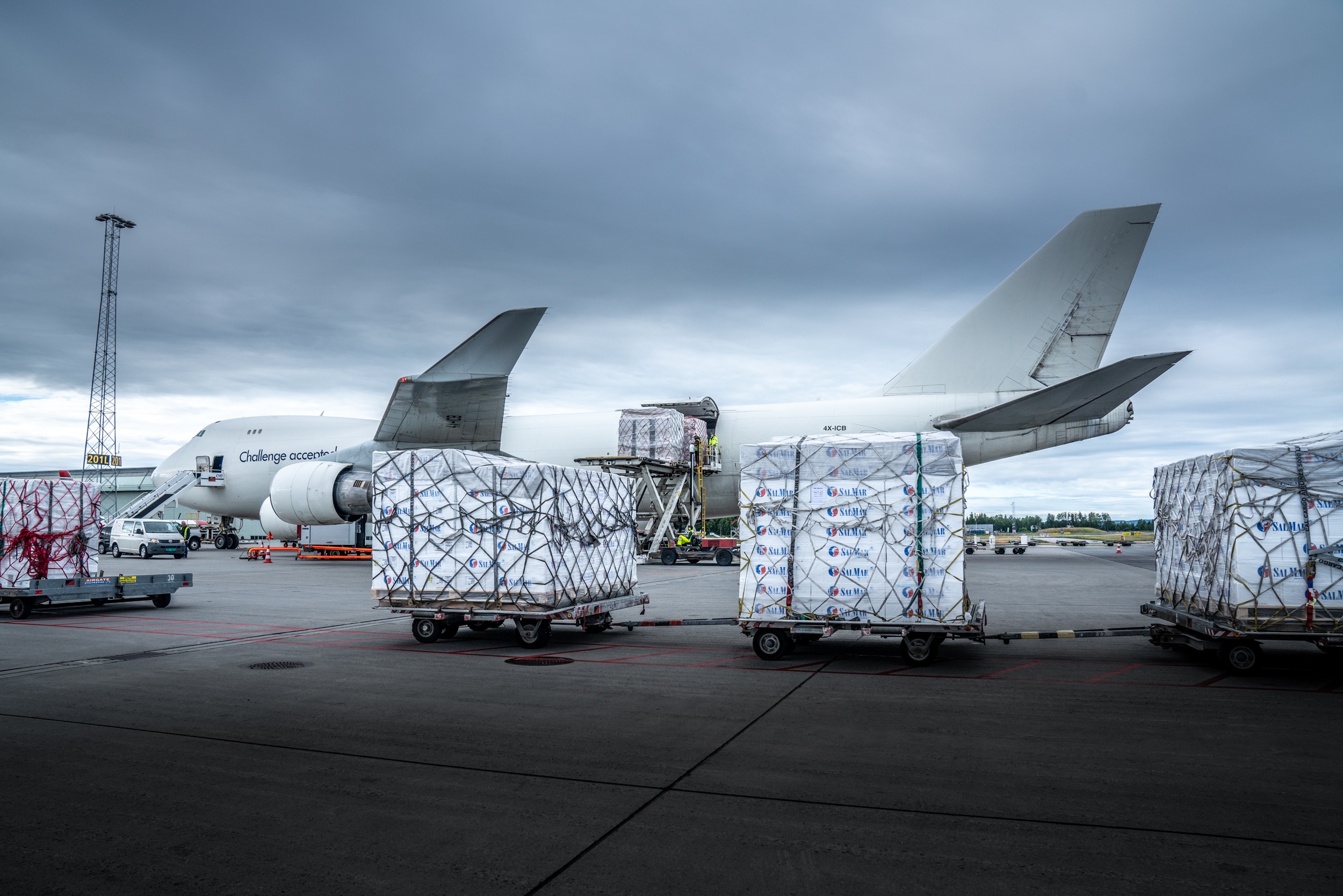 Maritech CMS - Automated customs clearance with Auto-TVINN