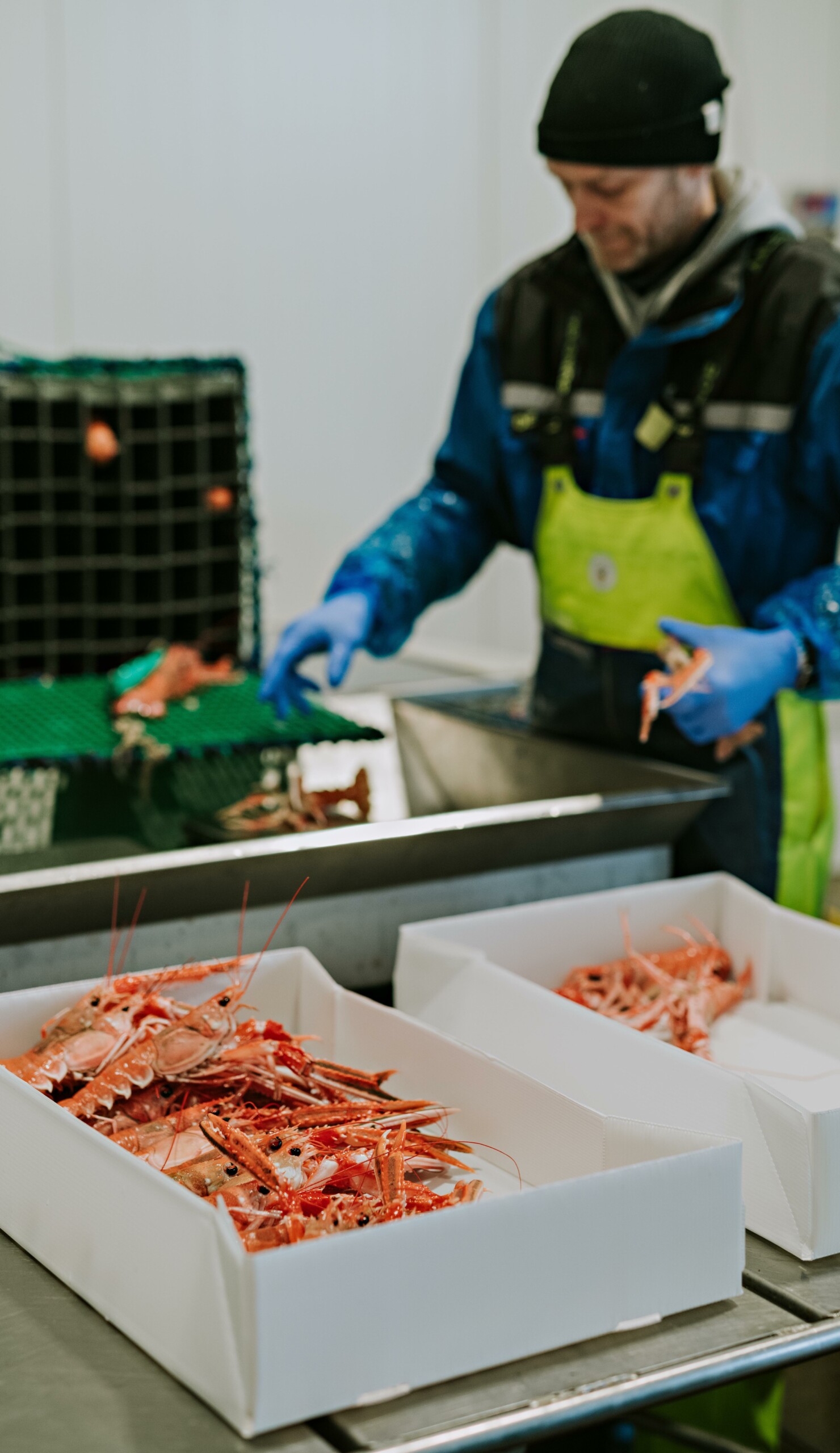 Maritech I Cloud Based Business Solution for Seafood & Logistics